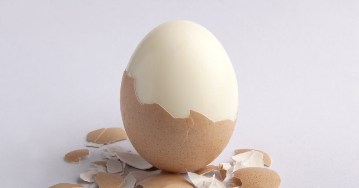 L'OCAbulary Guide To The Perfect Yolk | L’OCA